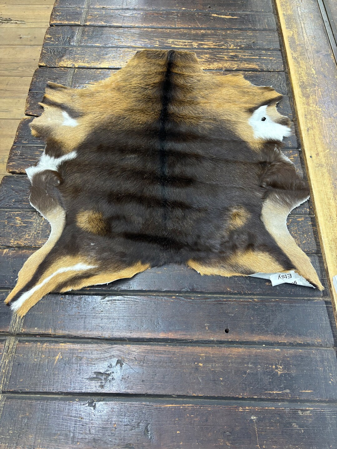 Goat Hide, Hair on Goat Hide, 33"x29", Shelf6-#22 - Etsy