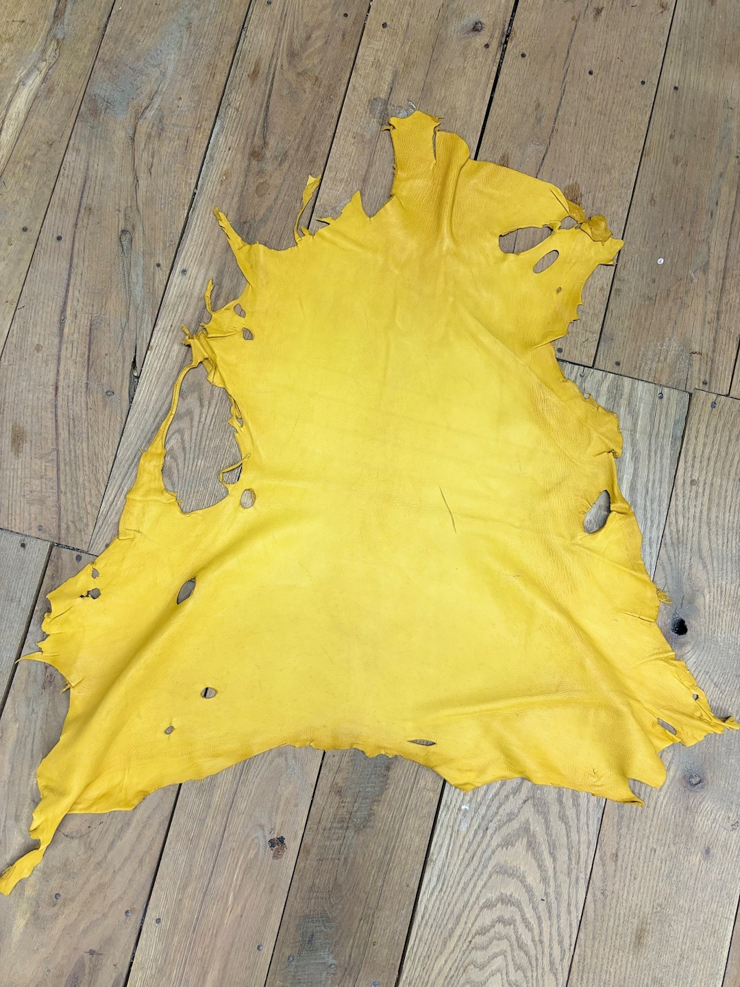 Deerskin/deer Leather / Buckskin Hide / Gold Color / C11-pic 304 - Etsy