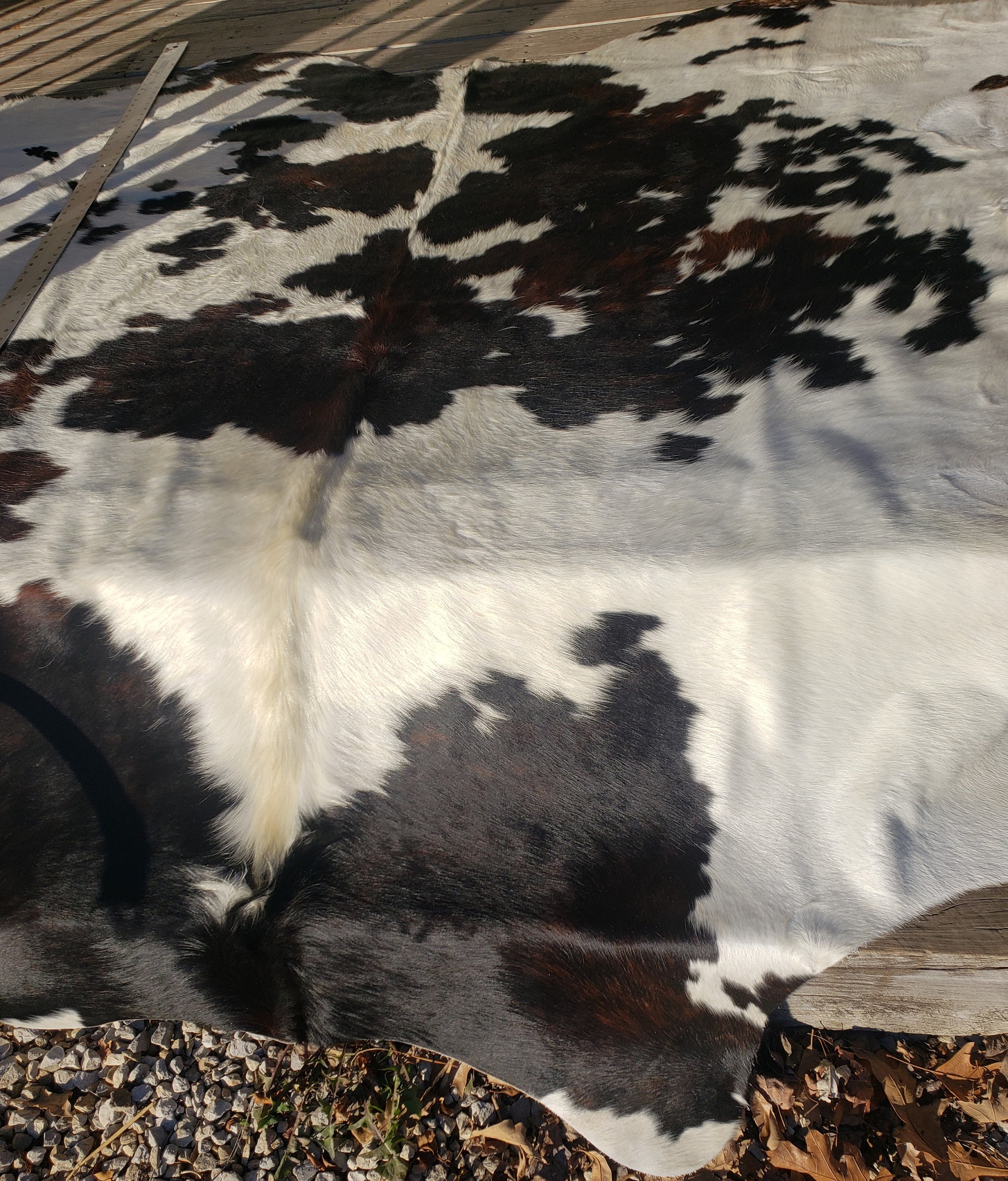 Cowhides Geniune Hair on Hide BIG HIDE C1-9 | Etsy