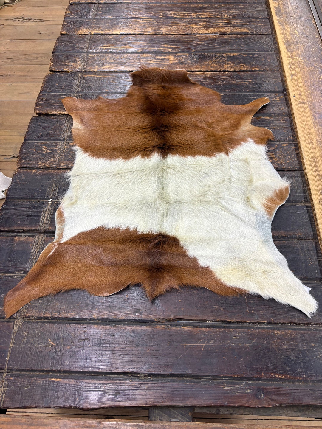 Goat Hide, Hair on Goat Hide, 33"x25", Shelf6-#27 - Etsy