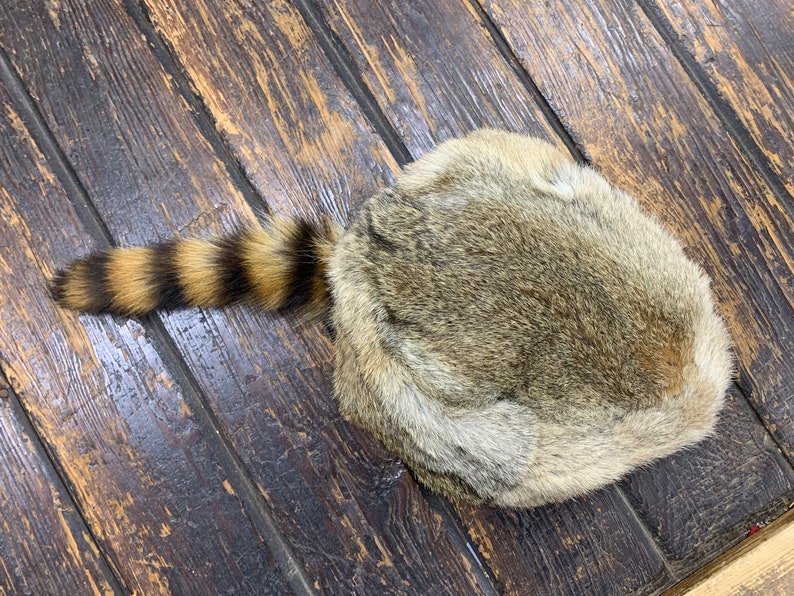 Coon Tail Rabbit Hats/4 Sizes Available - Etsy