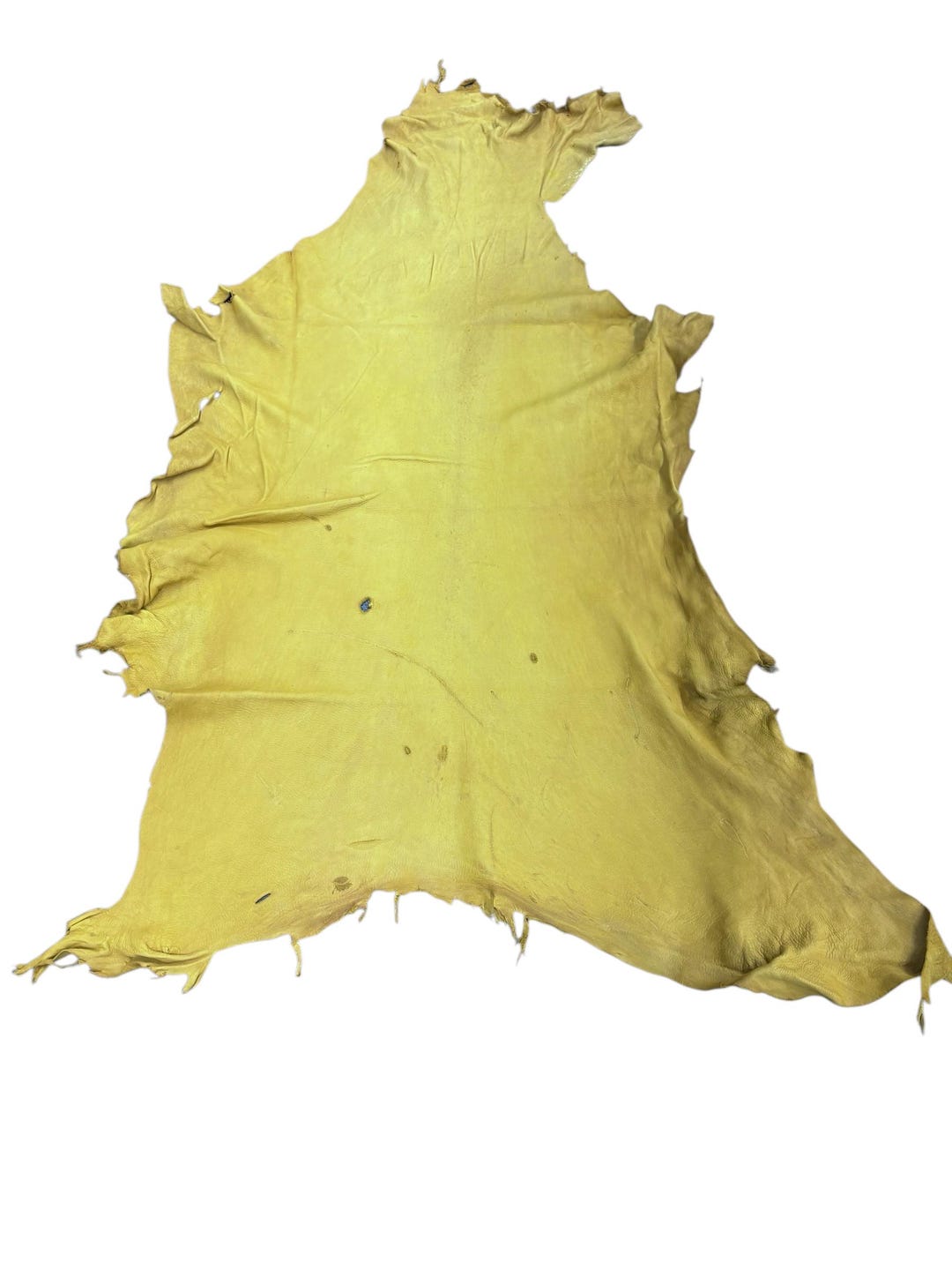Deerskin/deer Leather / Buckskin Hide / Gold Color / C11-pic 305 - Etsy