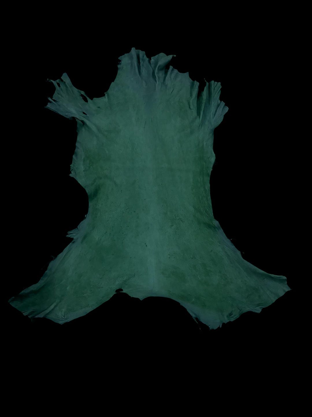 Deerskin Buckskin Hide Green Color Nice Grain C11-pic301 - Etsy