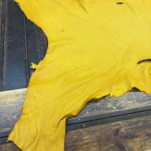 Deerskin/deer Leather / Buckskin Hide / Gold Color / C12-pic42 - Etsy