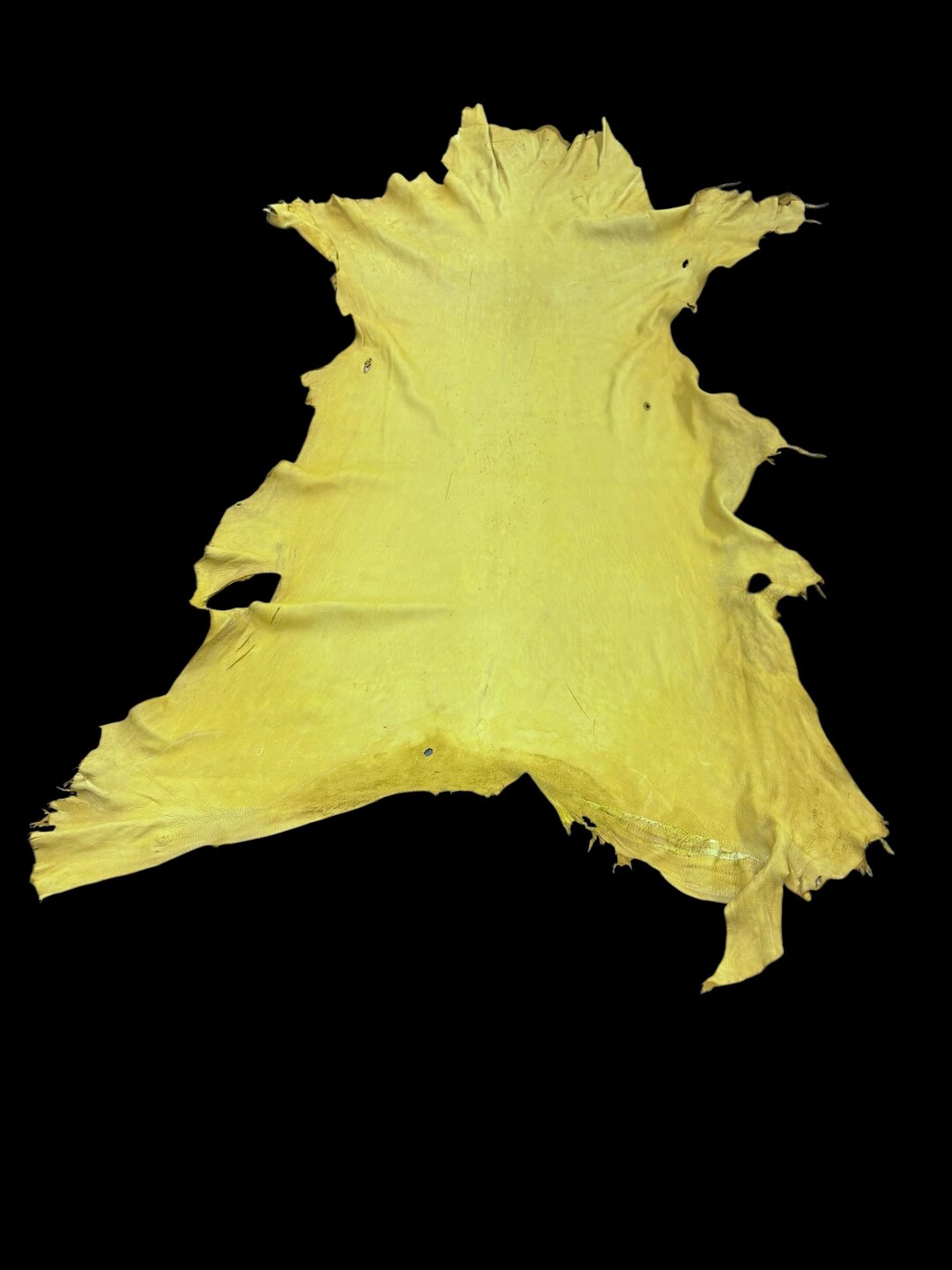 Deerskin/deer Leather / Buckskin Hide / Gold Color / C12-pic2 - Etsy
