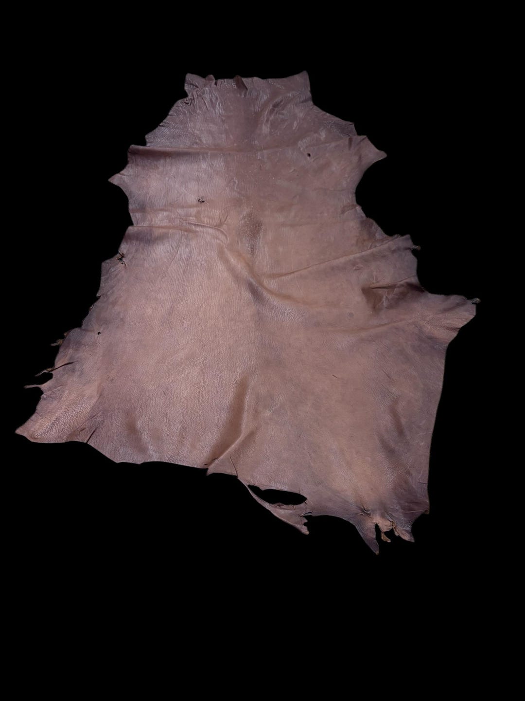 Deerskin Buckskin Hide Whiskey Color 11sf Nice Grain! C12-pic45 - Etsy