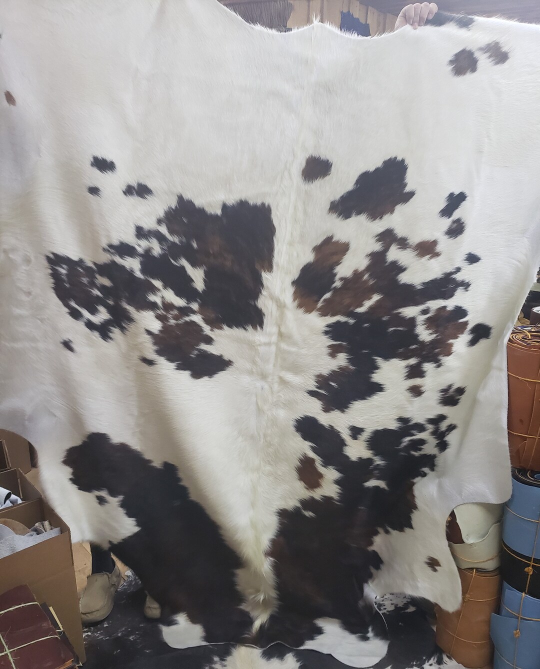 Cowhides Geniune Hair on Hide BIG HIDE C1-6 - Etsy