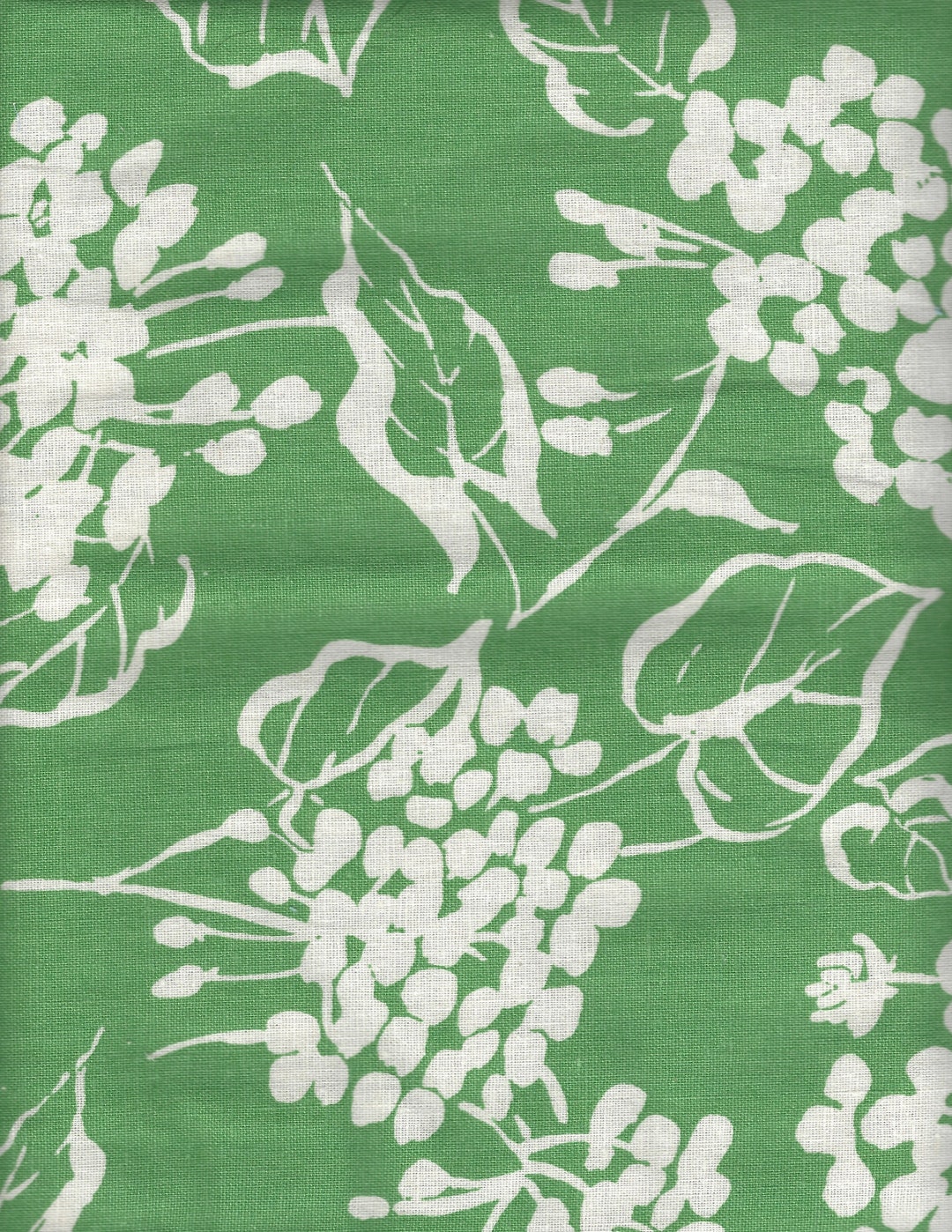 Kei Green Leaf From the Happy Sweet Collection - Etsy