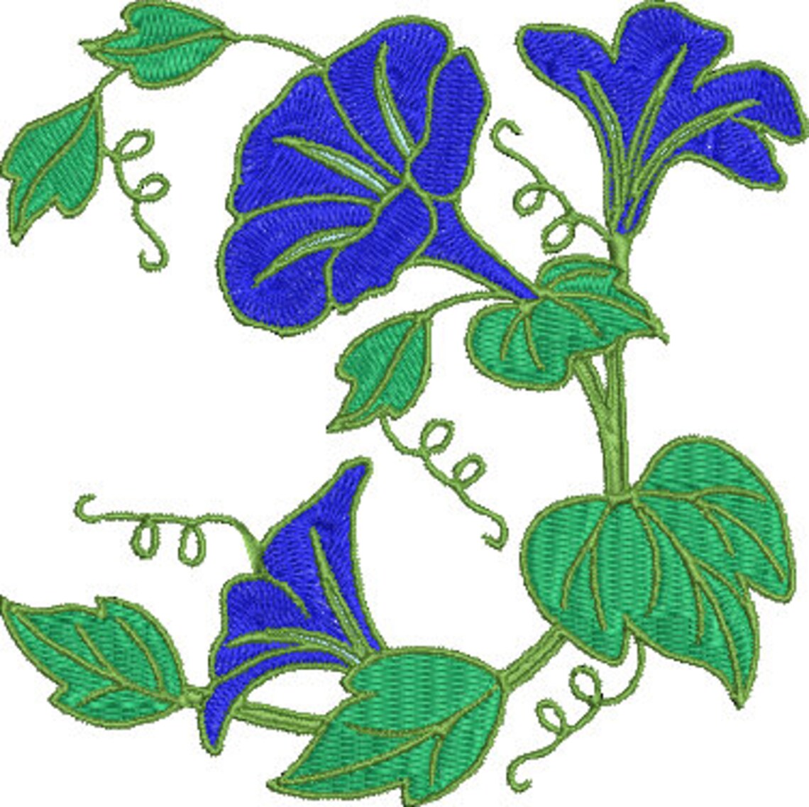 Morning Glory Flower Machine Embroidery Design Outline and Filled - Etsy