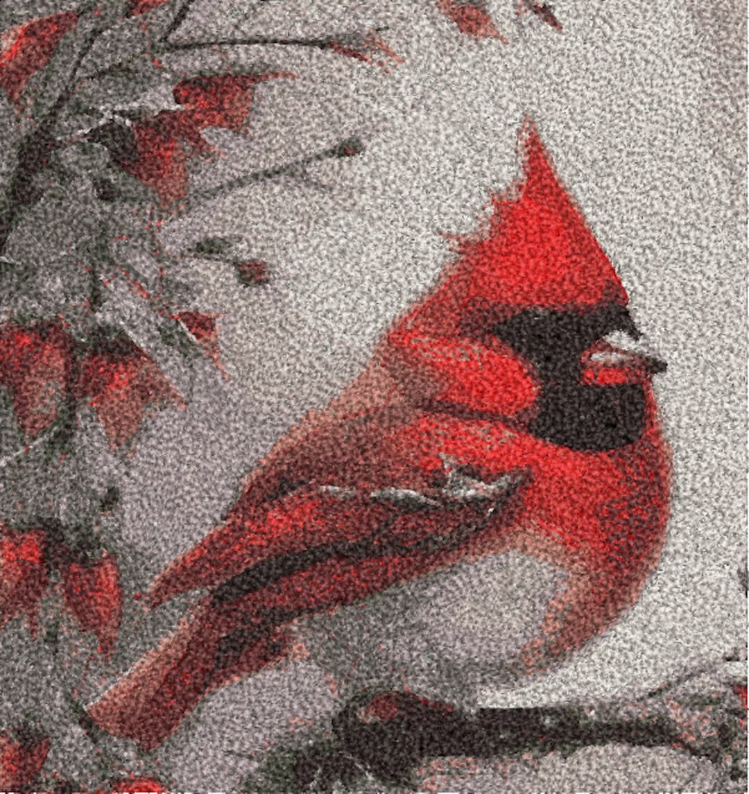 Cardinal Machine Embroidery Design Montage Embroidery Fantasy Digital ...