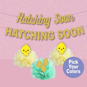 Hatching Soon Baby Shower Banner and Centerpiece, Chick and Egg Table ...
