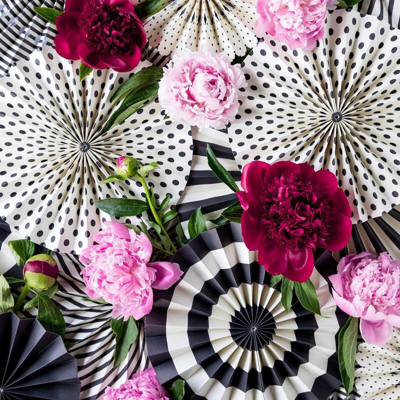 Rosette Backdrop - Etsy