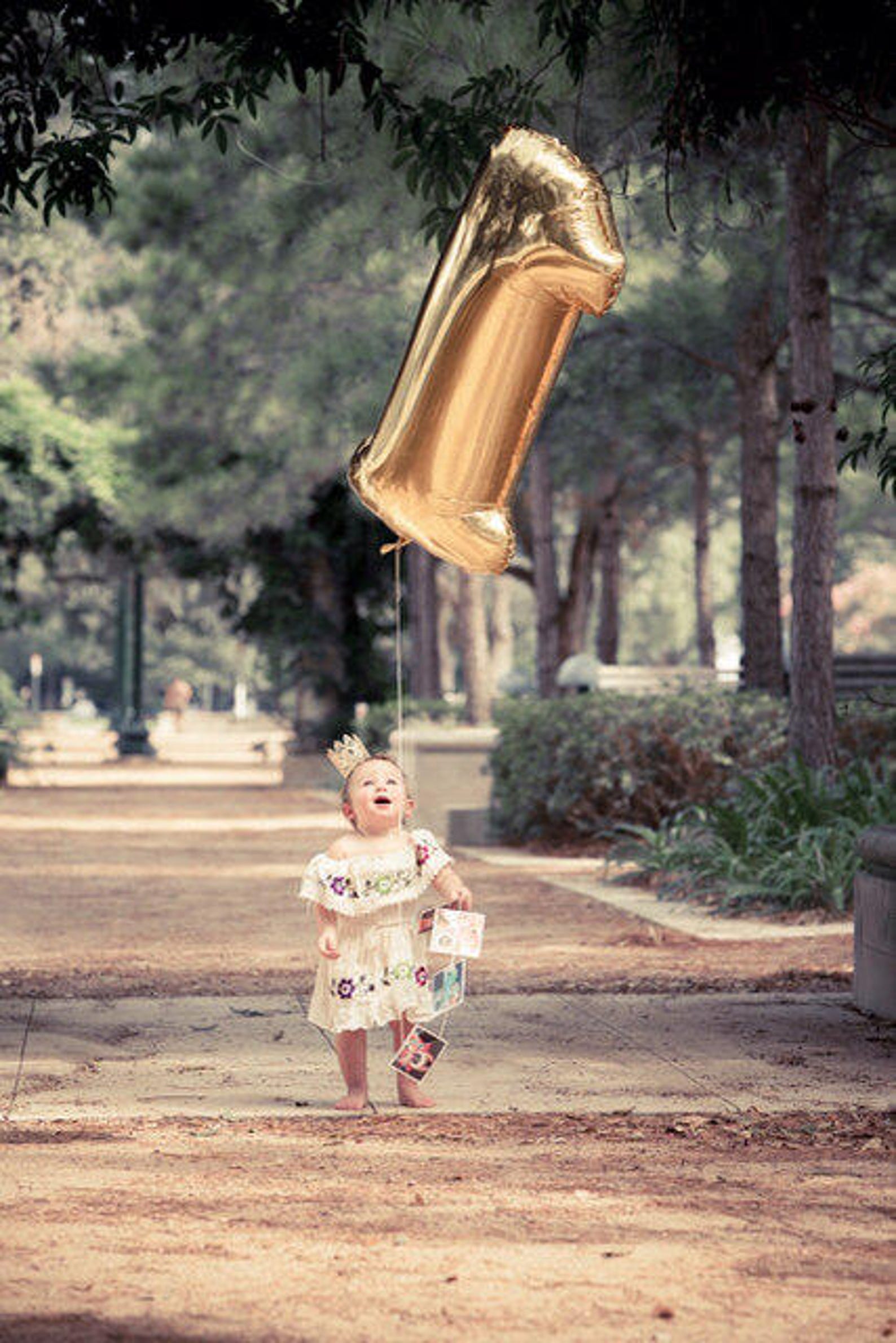 Carousel Horse Balloon, Horse Balloon, Carousel Party, Carousel ...