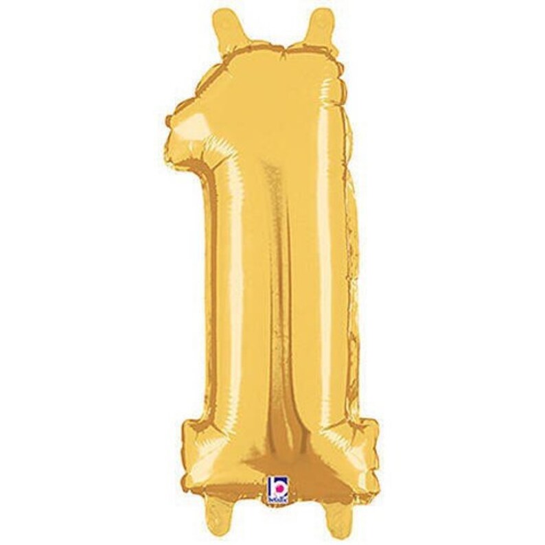 One Script Balloon One Balloon First Birthday Balloon Prop - Etsy