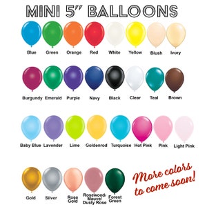 Mini Balloons - Rose Gold, Blush, Navy, Mauve, Rose Gold, Ivory - 5 ...