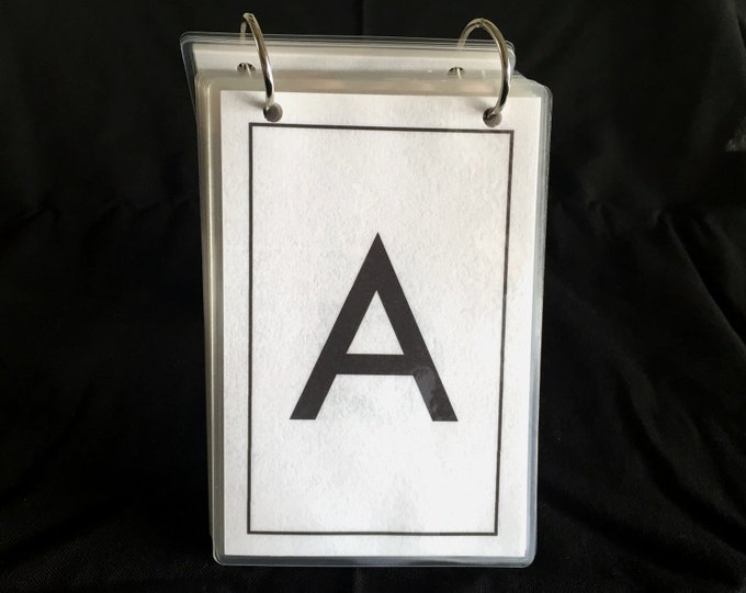 Laminated Alphabet Flash Cards, Simple Design, Double-sided, Bound by ...