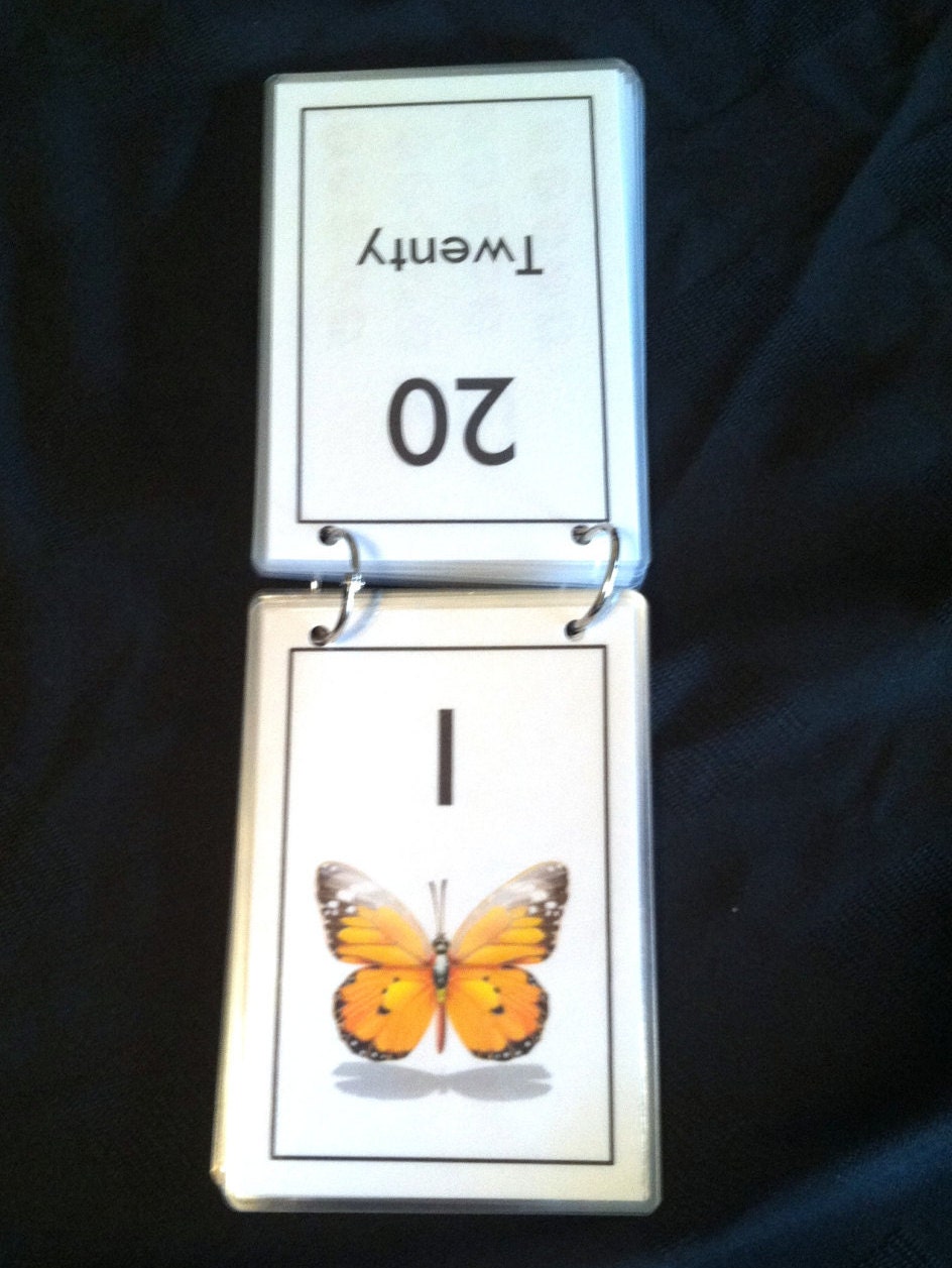 Laminated Number Flash Cards With Pictures, Bound by Rings, 1-20 - Etsy