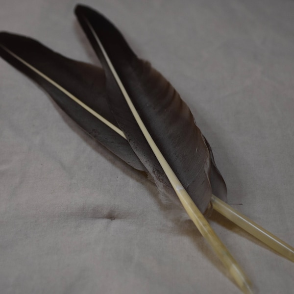 Feather Quill Pen - Etsy