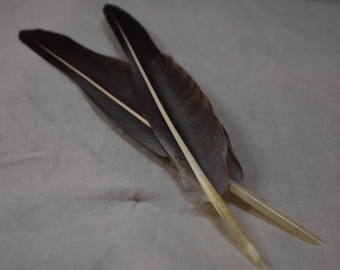 Two Handcut Quills - Etsy