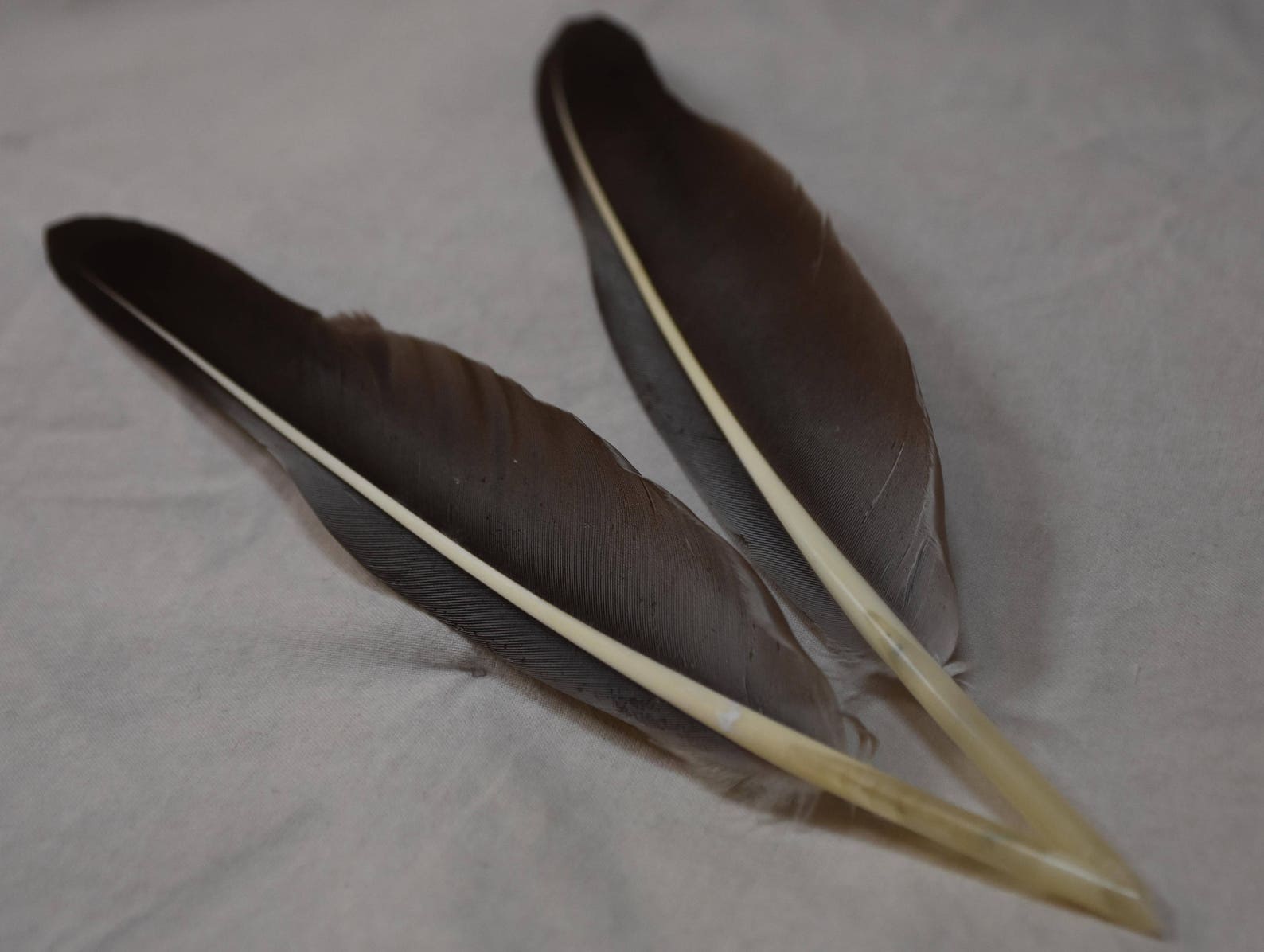 Two Handcut Quills - Etsy