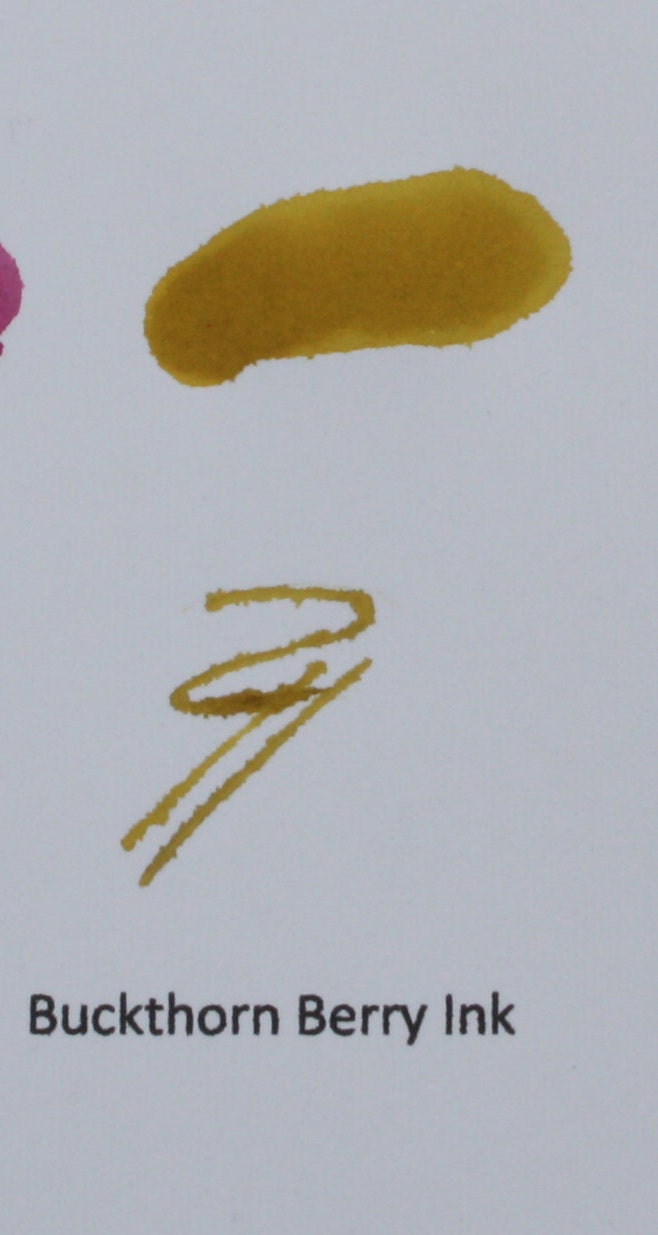 Green Buckthorn Berry Historic Calligraphy and Drawing Ink, 1 Oz - Etsy