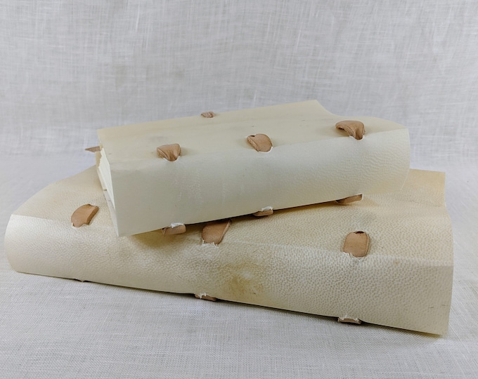 Large Blank Scroll With Large Wooden Knob Spindles Historic Writing ...