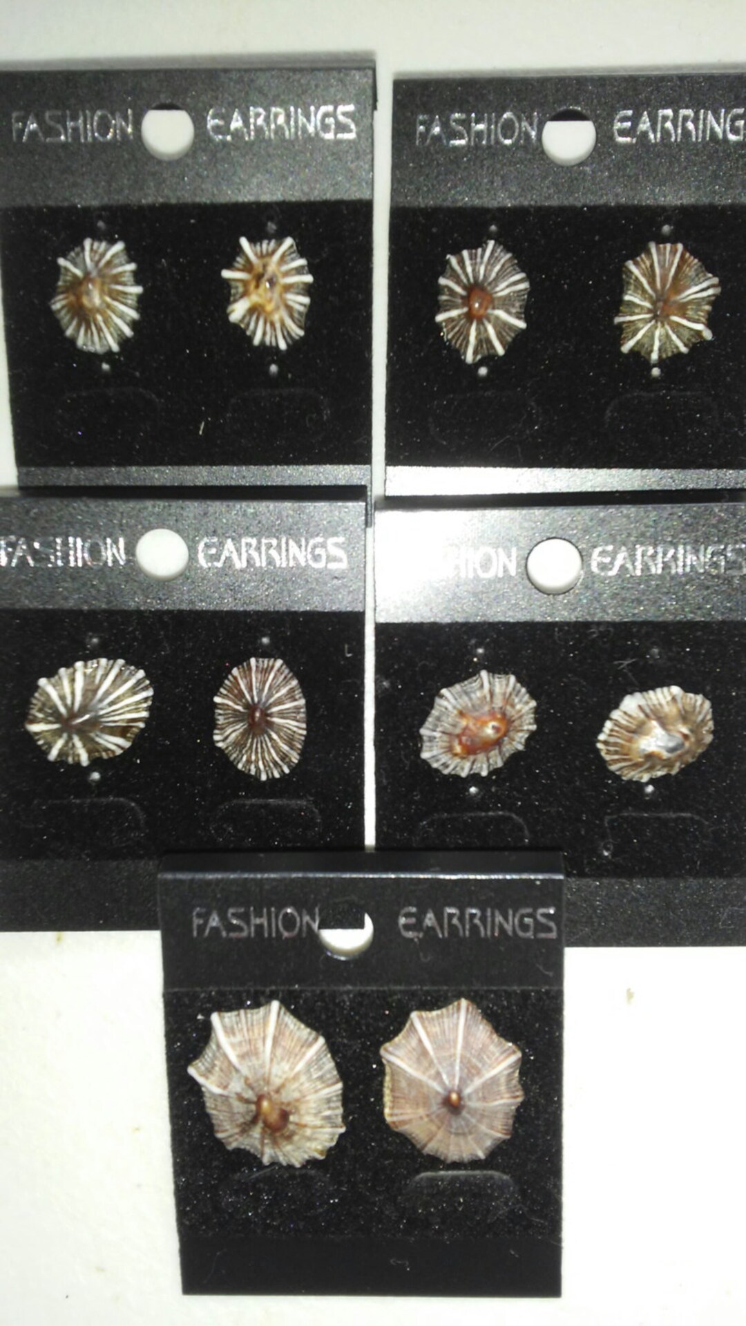 Kauai Opihi Shell Stud Earrings - Set of 5 - Etsy