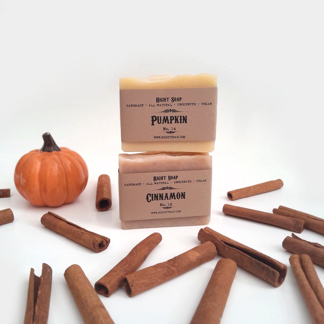 Pumpkin and Cinnamon Spice Soap Set of 2 Unscented, Natural, Vegan ...