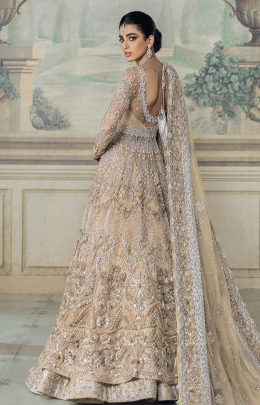 Elan Inspired Pakistani Valima/reception Dress - Etsy UK