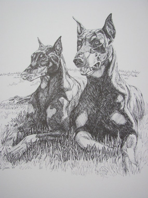 Dobermans In Pencil Sketch
