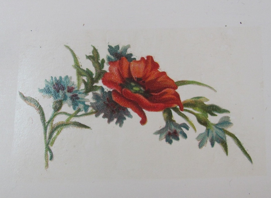 Circa 1920's Poppy // Image Transfer for Wood Tile Leather Glass 8" X 5 ...