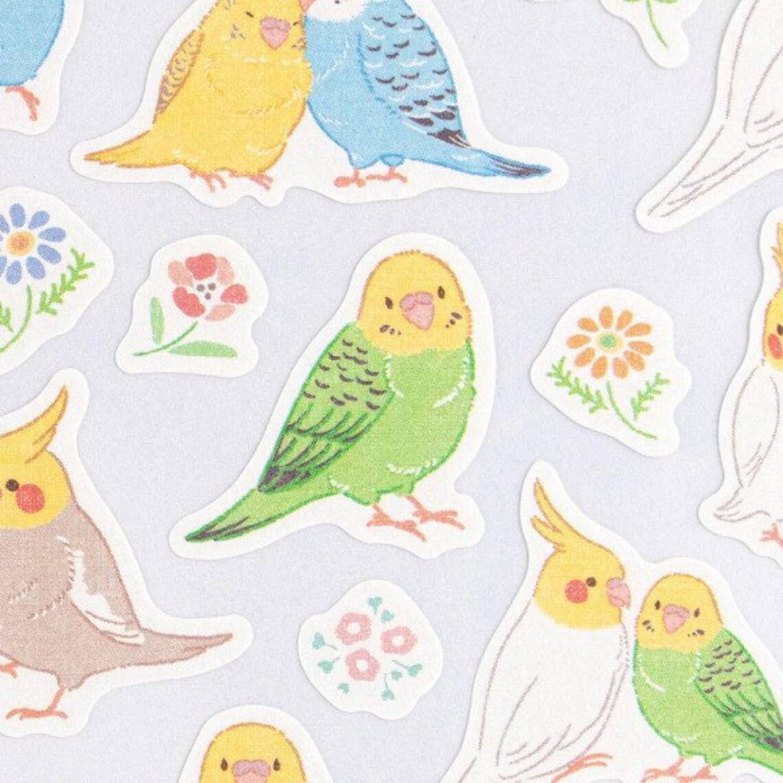 Budgie Budgerigar Parakeet Cockatiel Stickers Flat Rate - Etsy