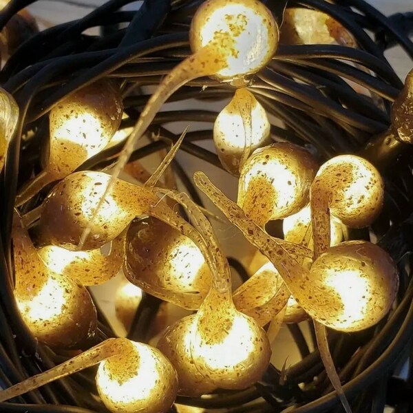 Spring String Lights - Etsy