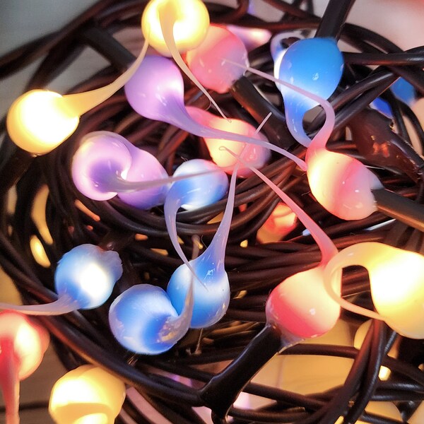 Spring String Lights - Etsy