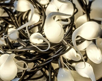 Battery Operated Fairy Lights Light Strand Wedding Lights - Etsy