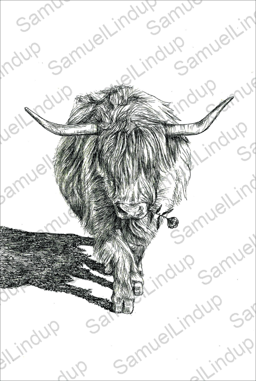 Bull A4 Art Print Highland Cow Art Cow Art Prints Scottish - Etsy