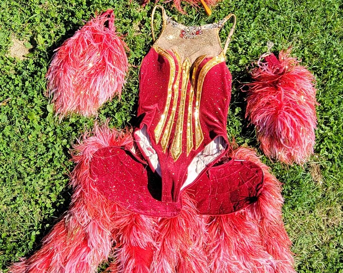 Vintage Showgirl Costume • Designer Elizabeth Courtney Stage Las Vegas ...