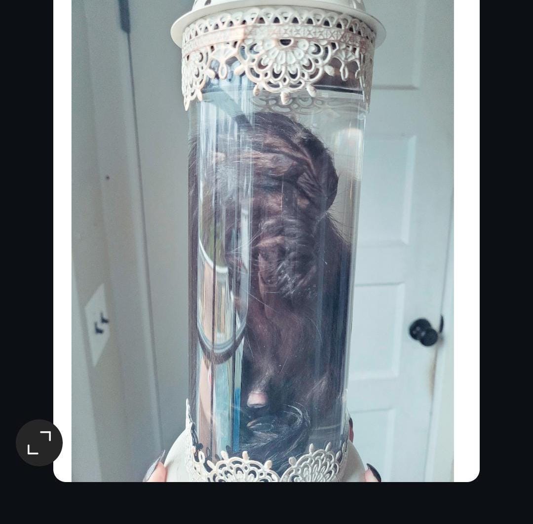 Full Term Baby Porcupine Wet Specimen in a Victorian Style Jar ...