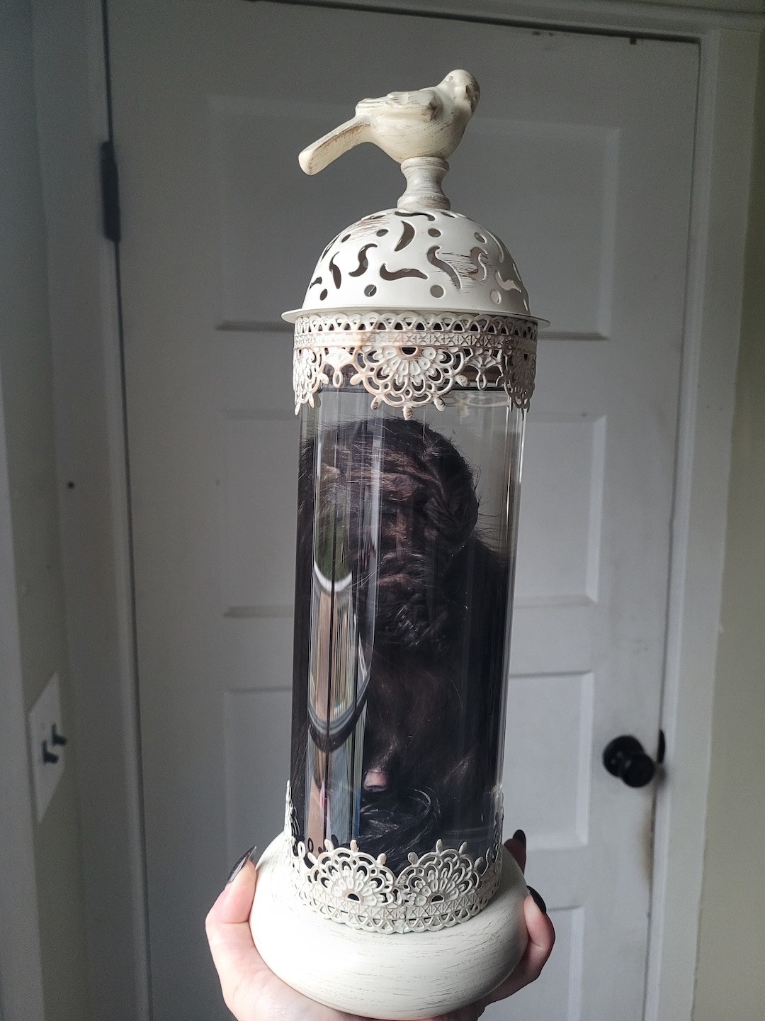 Full Term Baby Porcupine Wet Specimen in a Victorian Style Jar ...