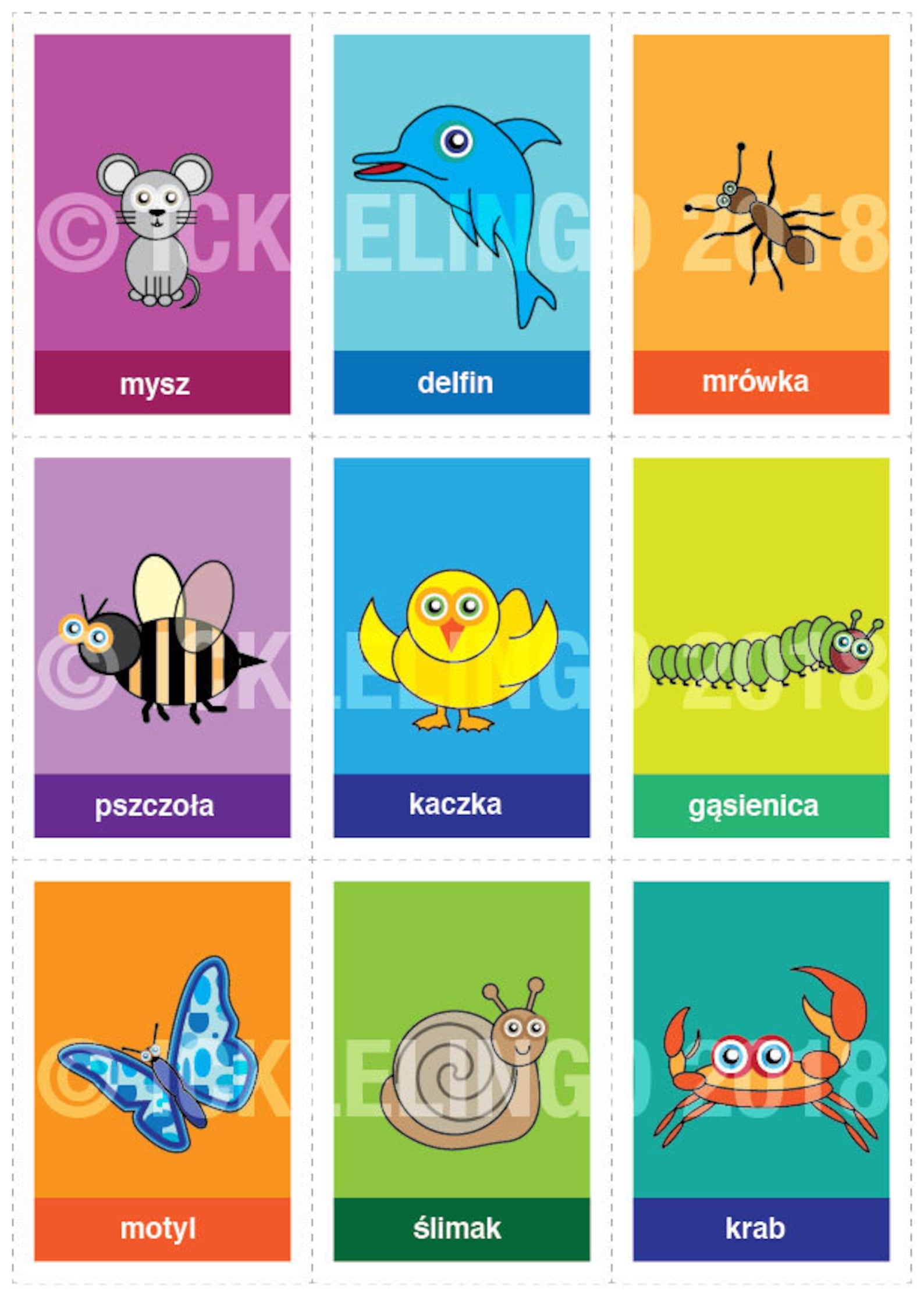 POLISH Flash Cards, Instant Download - Etsy UK