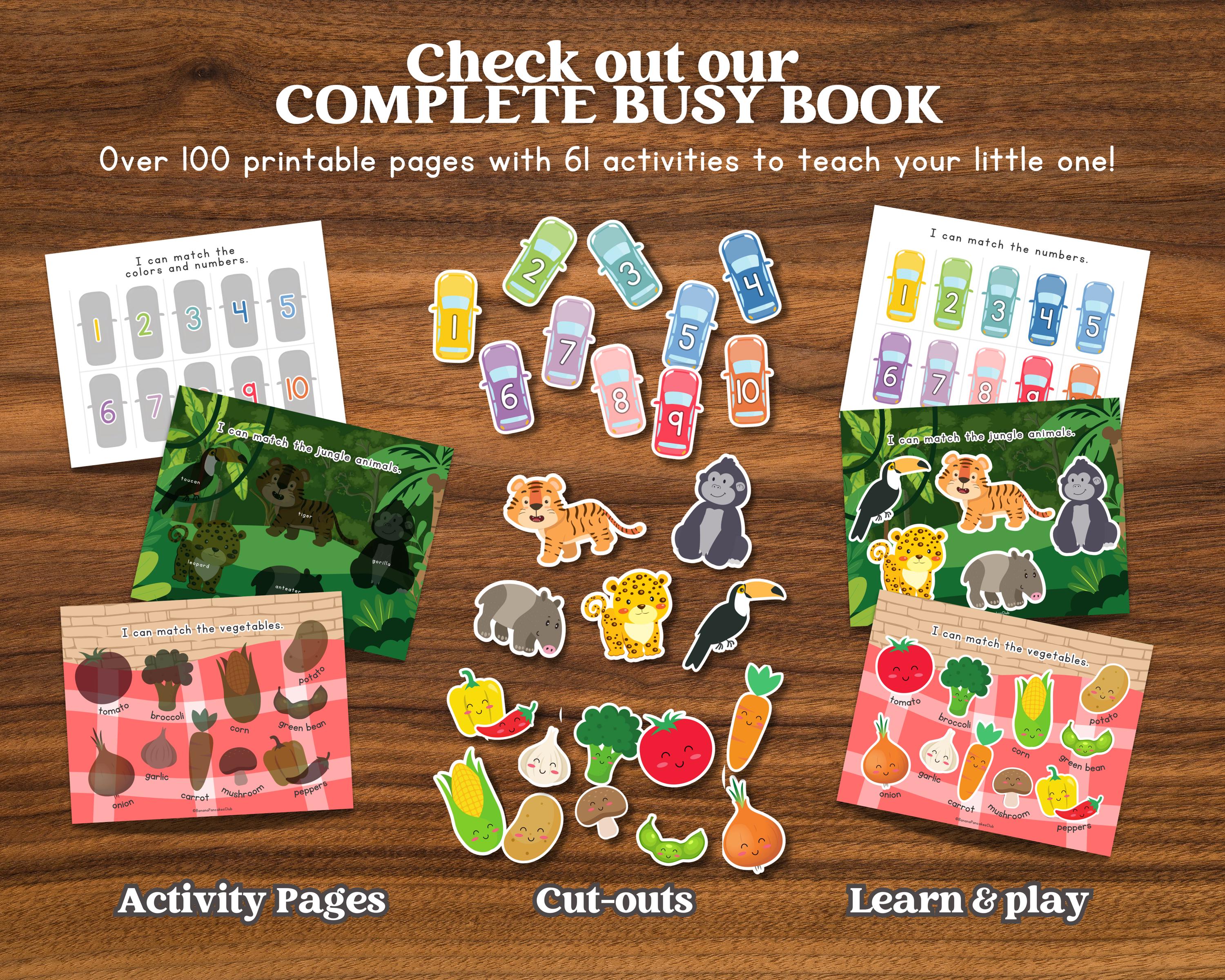 Montessori Counting Activity for Toddlers Number Match Practice 1 to 10 ...