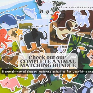 Safari Animal Shadow Matching Activity: Montessori Learning (PDF ...