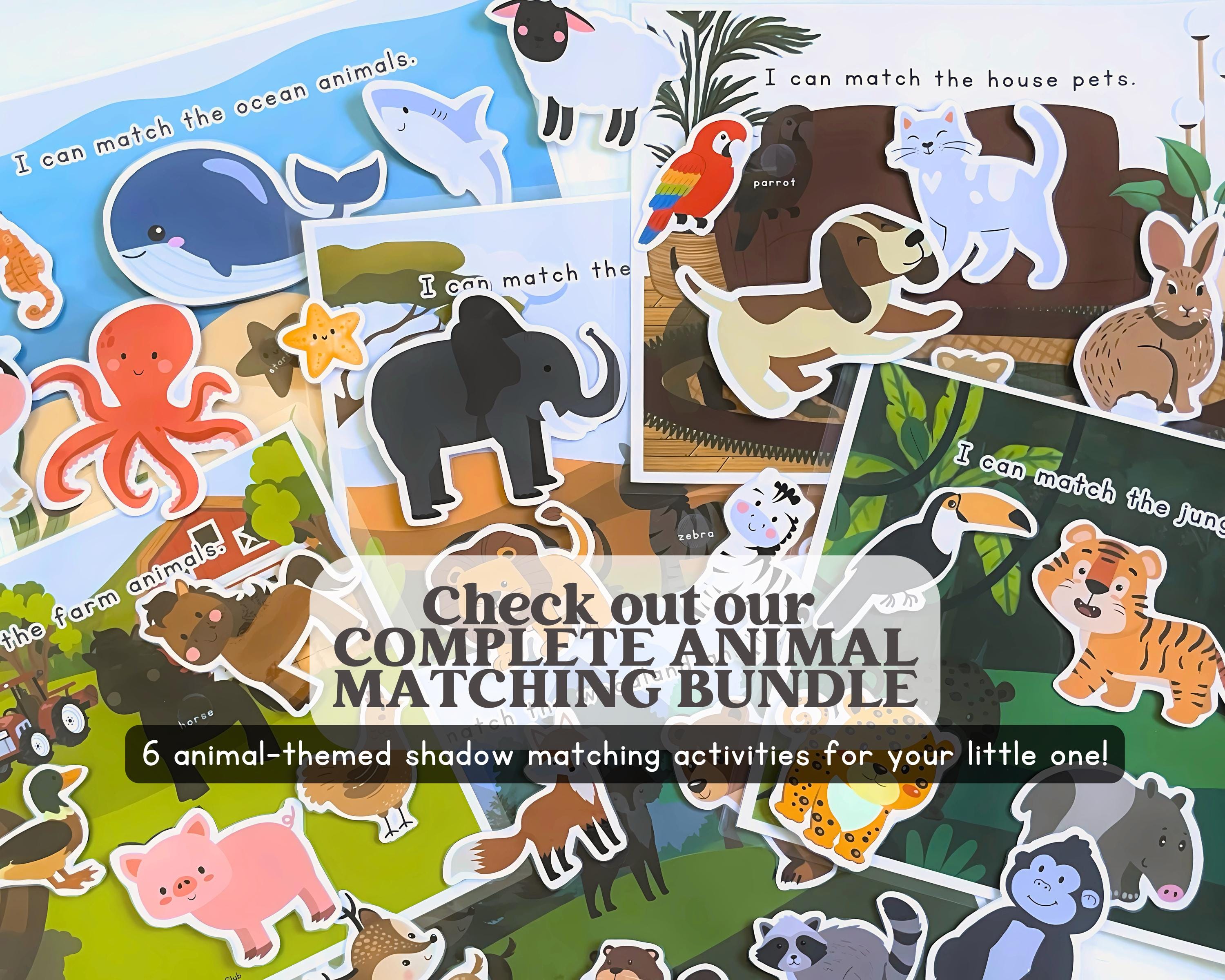 Safari Animal Shadow Matching Activity: Montessori Learning (PDF ...