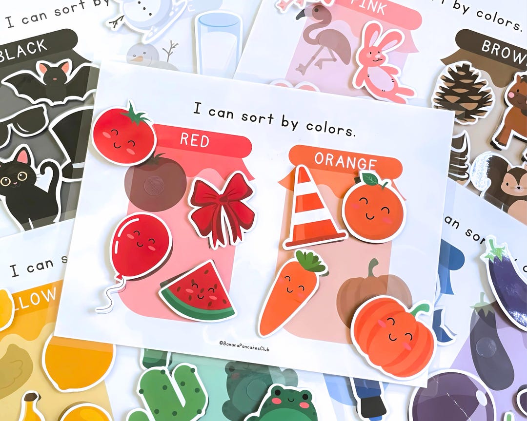 Montessori Color Sorting Activity for Toddlers Color Learning Color ...