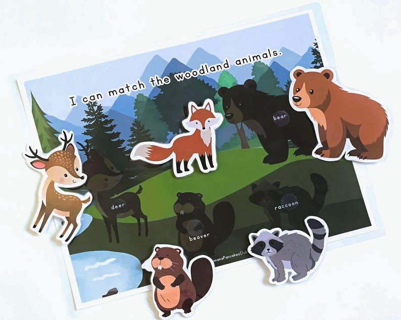 Woodland Animal Shadow Matching Activity for Toddlers Learning ...