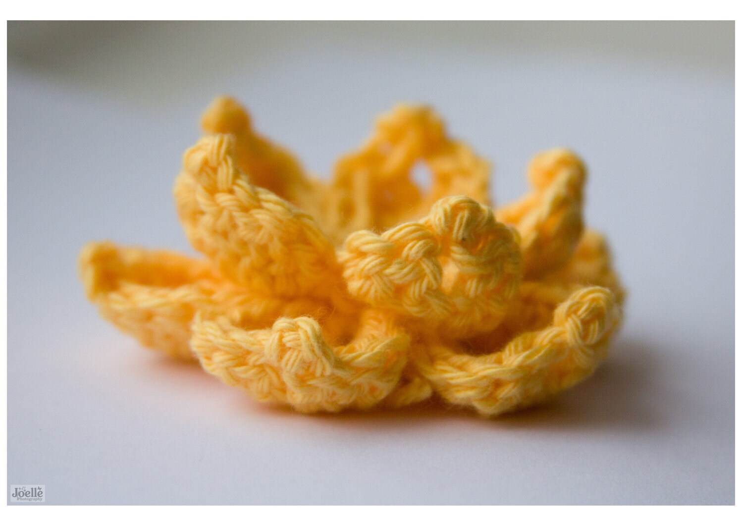 Crochet Pattern Water Lily Flower - Etsy