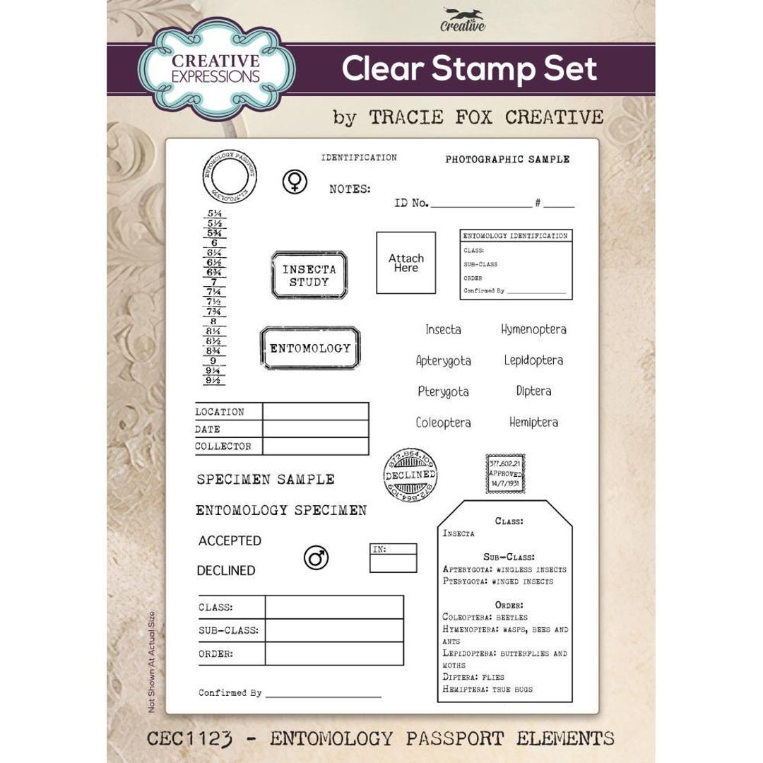 Entomology Passport Elements Creative Expressions Clear Stamp Set 6"x8 ...