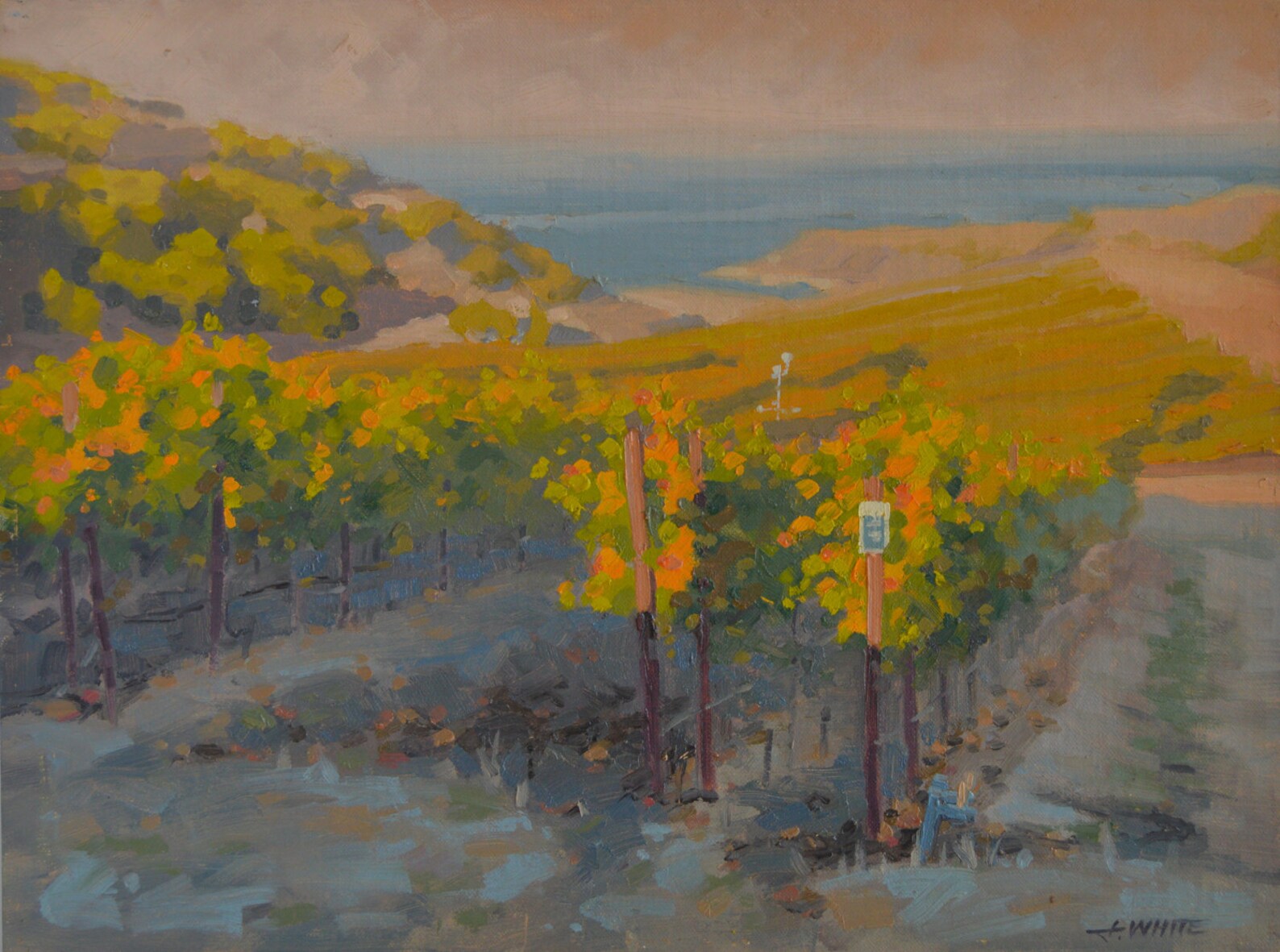 Rusack Vineyard - Catalina - Island - California - Plein Air - Oil ...