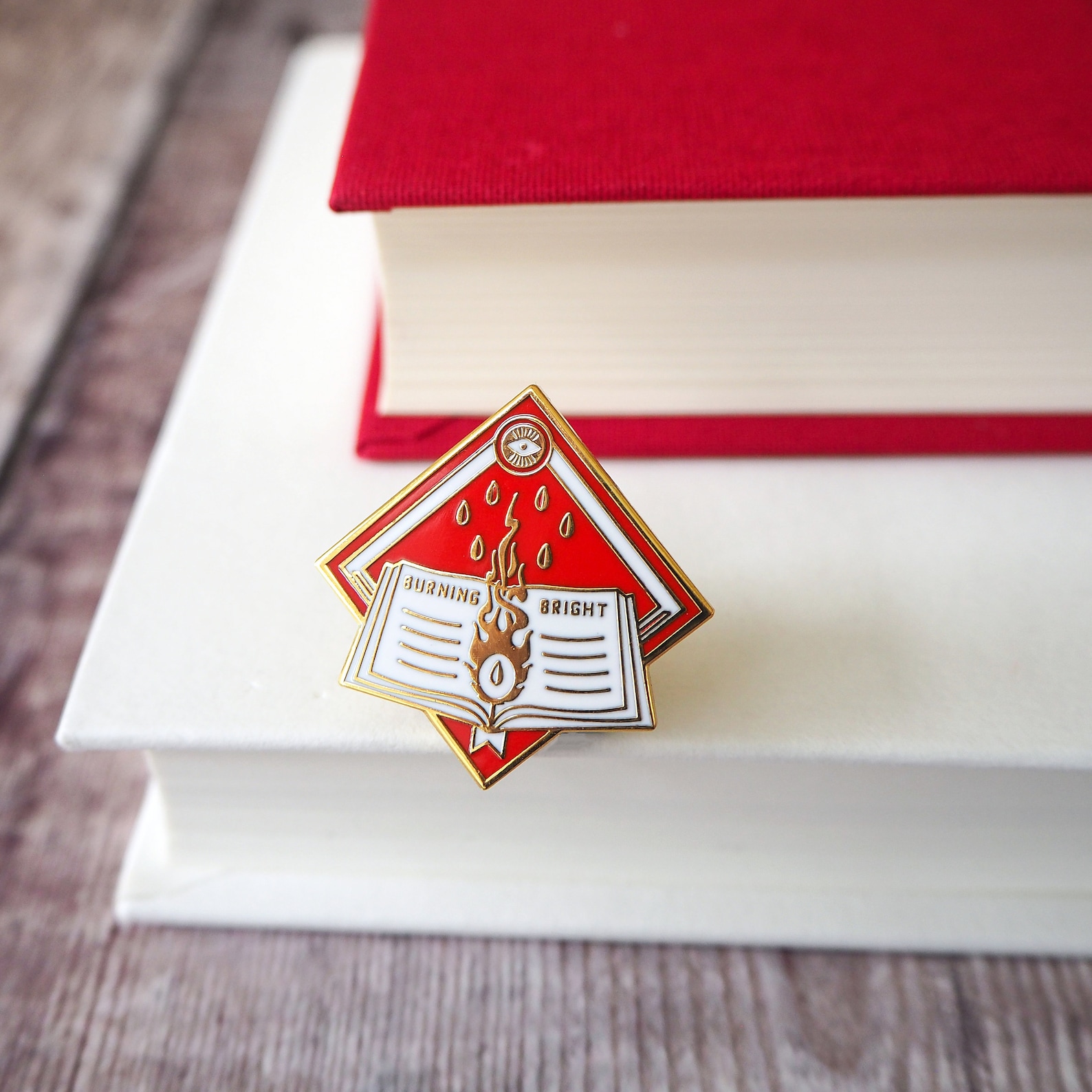 Burning Bright Enamel Pin Fahrenheit 451 Enamel Pin - Etsy