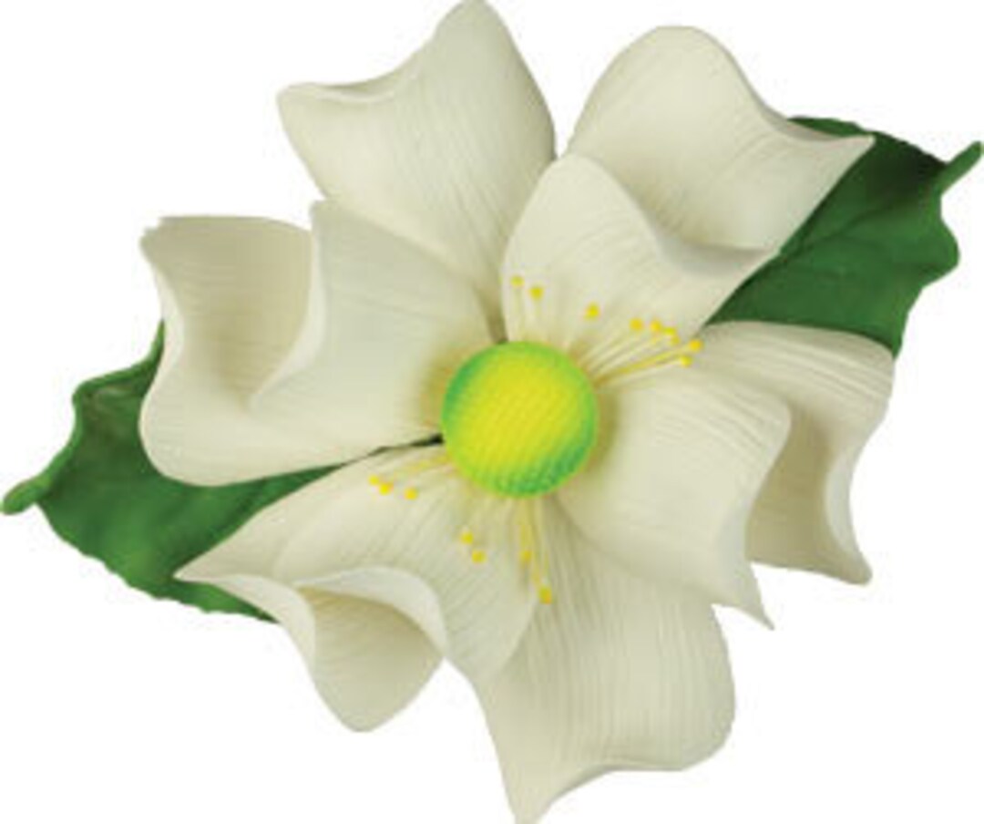 Gum Paste White MAGNOLIA FLOWER, Cake, Cupcakes, Cake Decorations, Gum ...